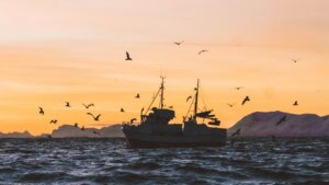 Director Tootie Smith: New Oregon seafood era starts now | Oregon Catalyst